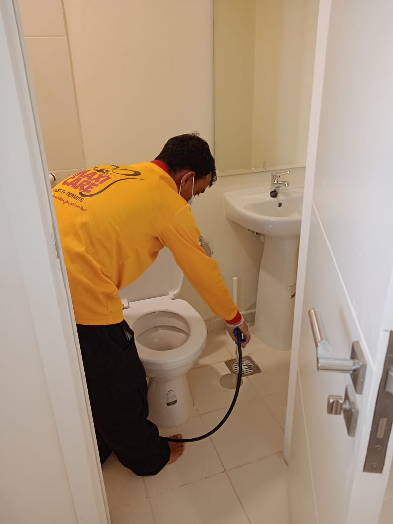 Index of /assets/inspaction/177/